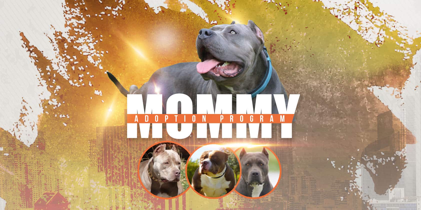 XL Pitbulls & XL Bullies Puppies. Blue Nose Pits - Monster Bully Kennels