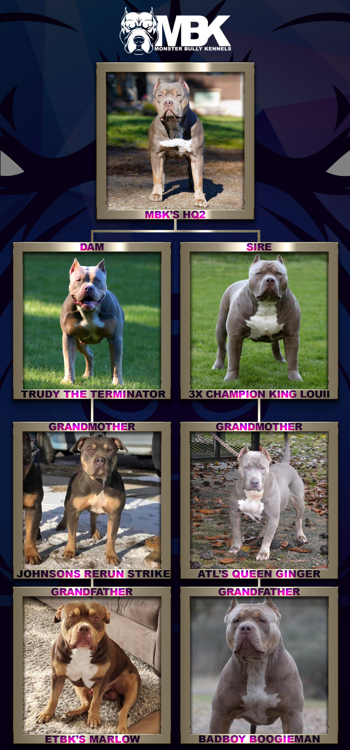 Breedings - Monster Bully Kennels