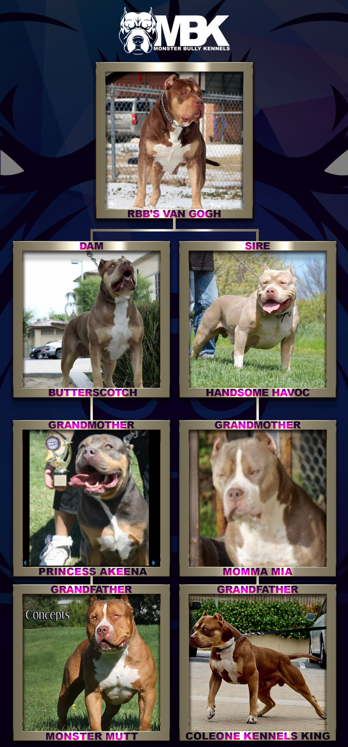 Breedings - Monster Bully Kennels