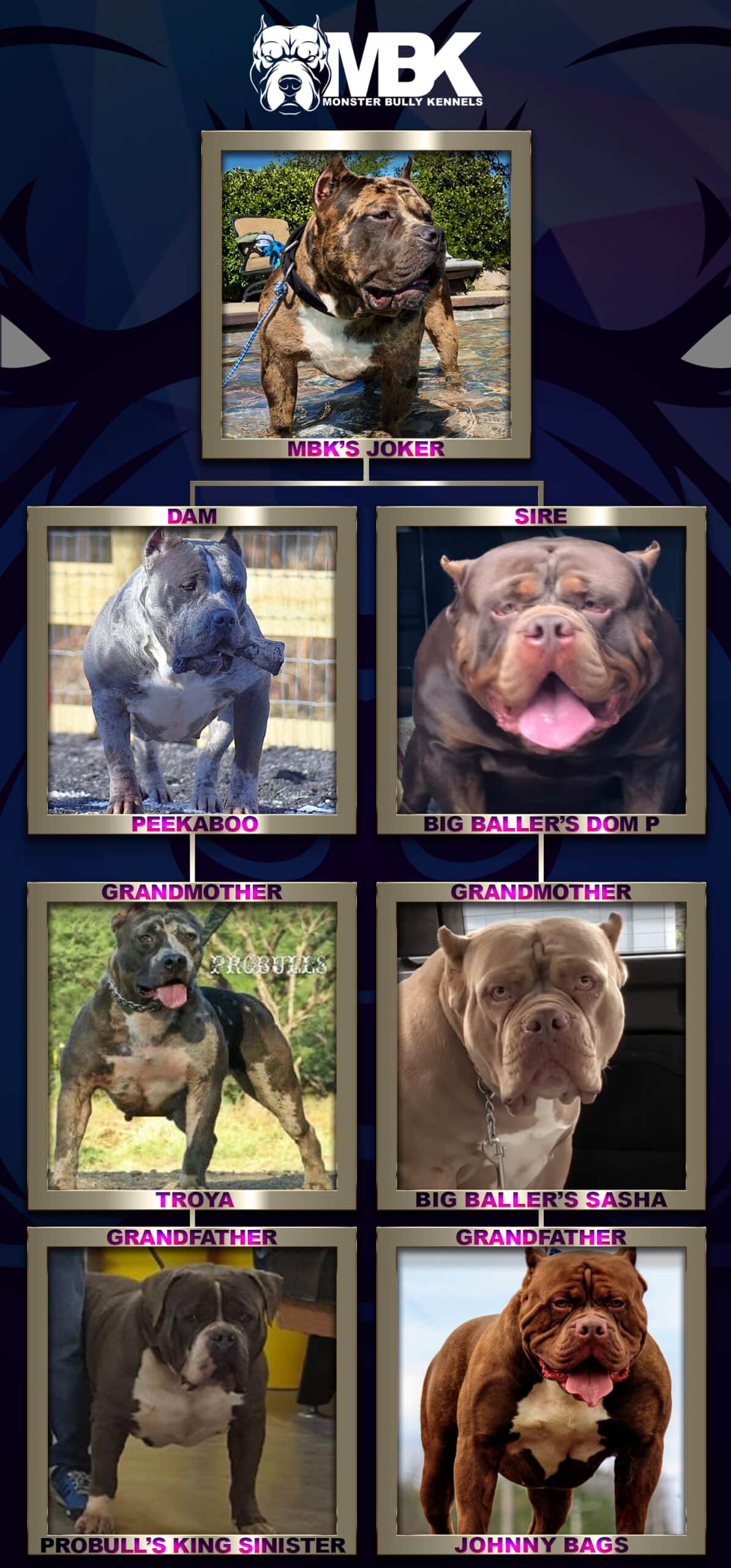Breedings - Monster Bully Kennels