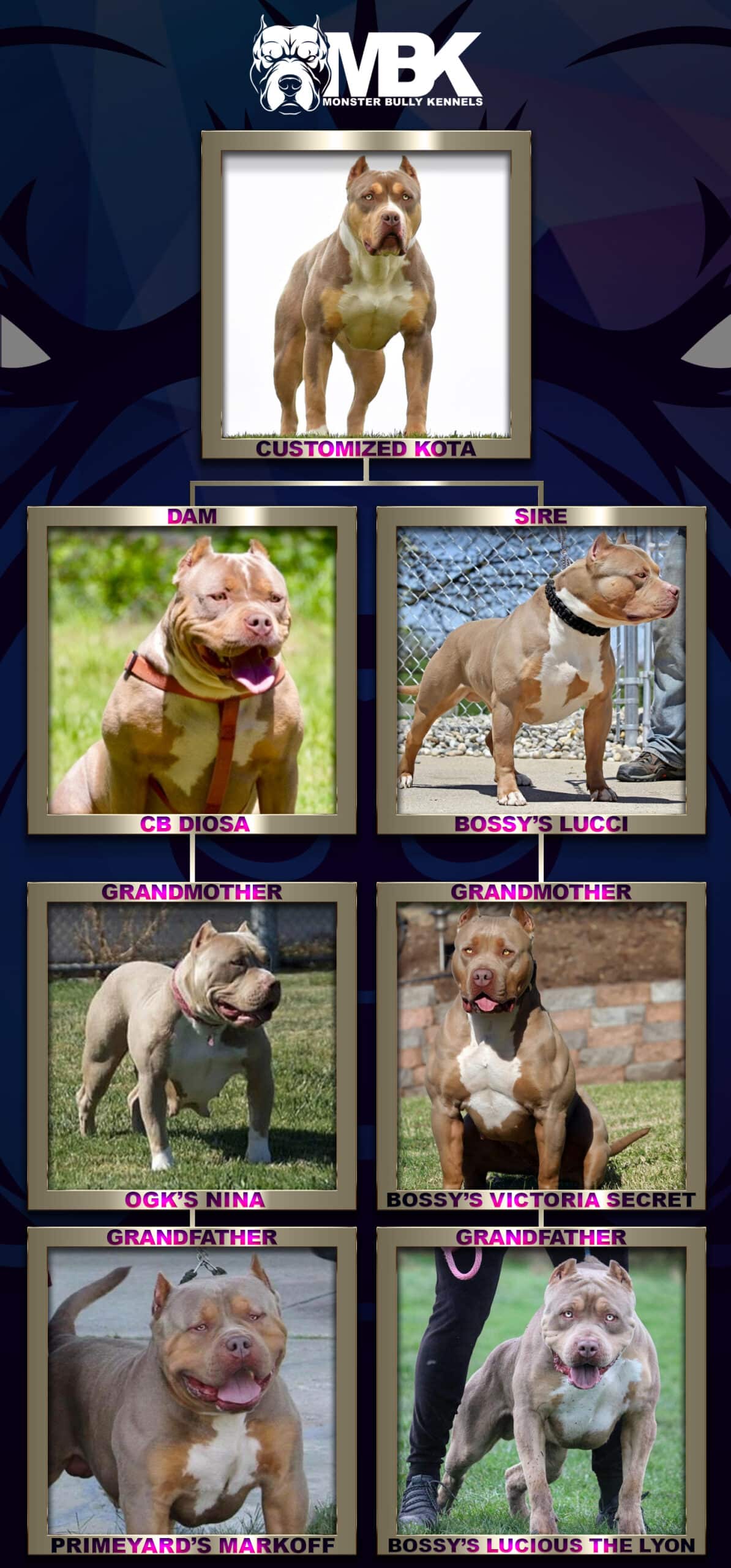 Breedings - Monster Bully Kennels