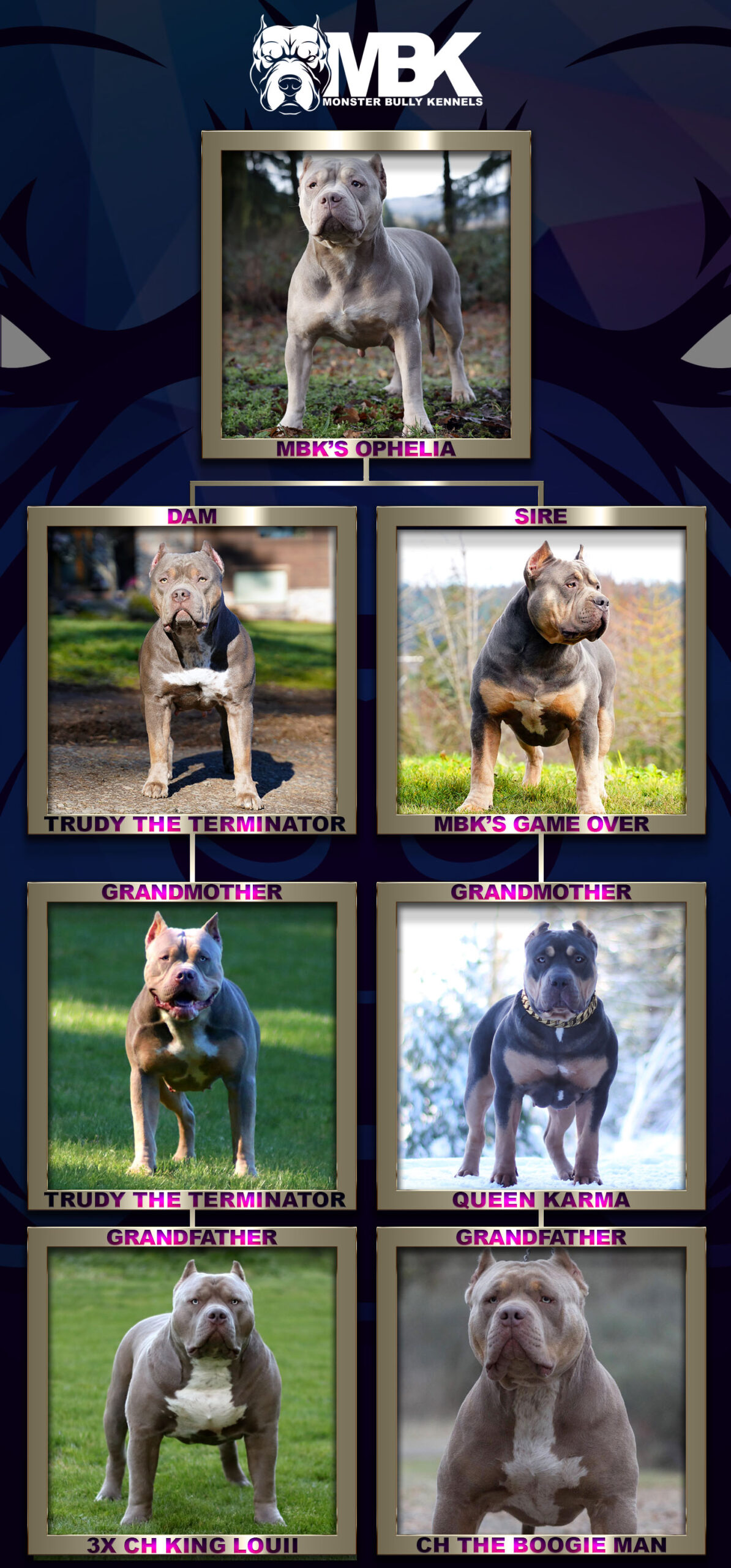 Breedings - Monster Bully Kennels